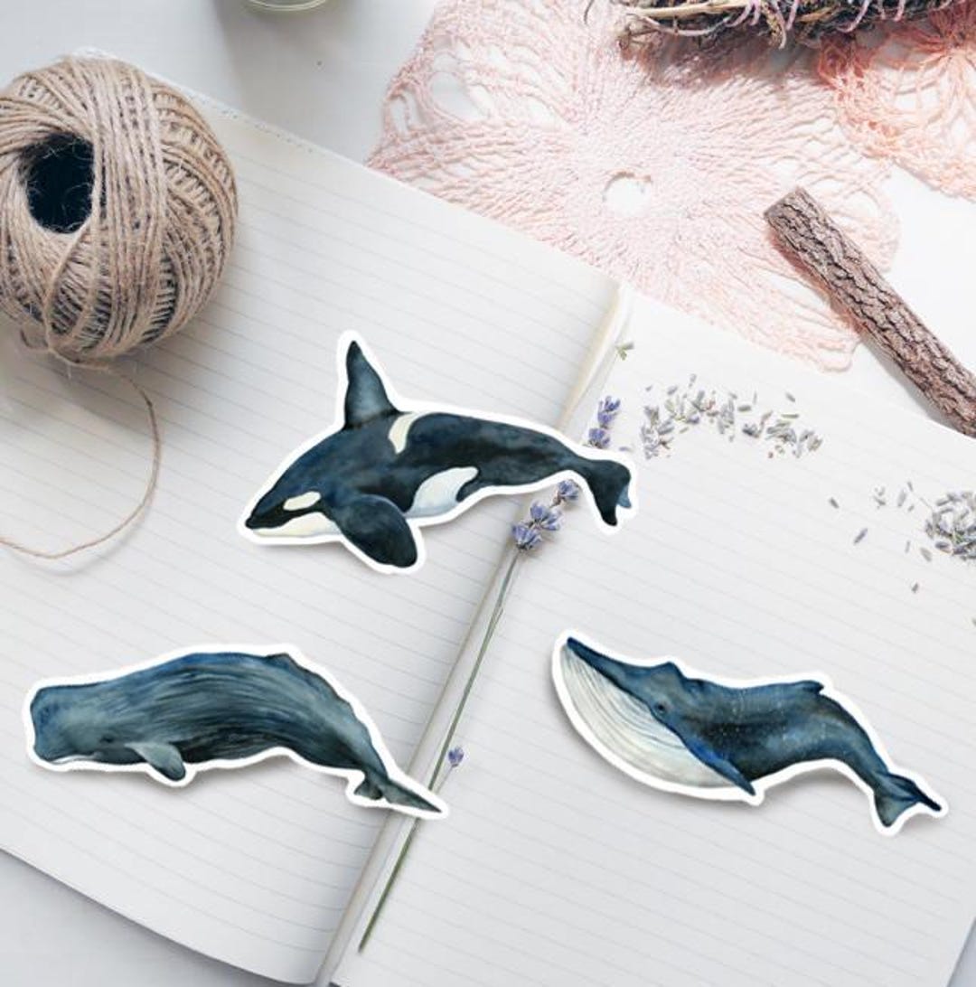 Whale Vinyl Stickers, 3 Stickers Watercolor Whale Illustration Sticker ...