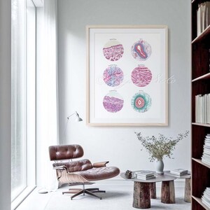 Heart Histology Collection Poster, Science Art, Biology Cardiology ...