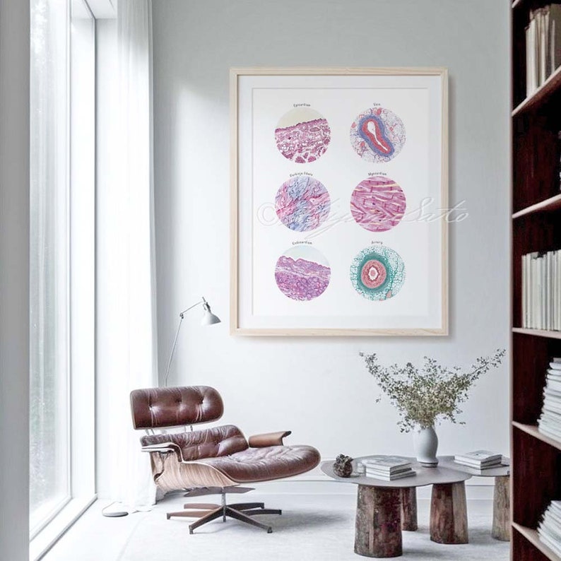 Heart Histology Collection Poster Science Art Biology - Etsy