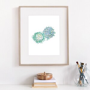 Immune Cells, Science Art, T Cells Print, Defensive Cell Art Poster ...