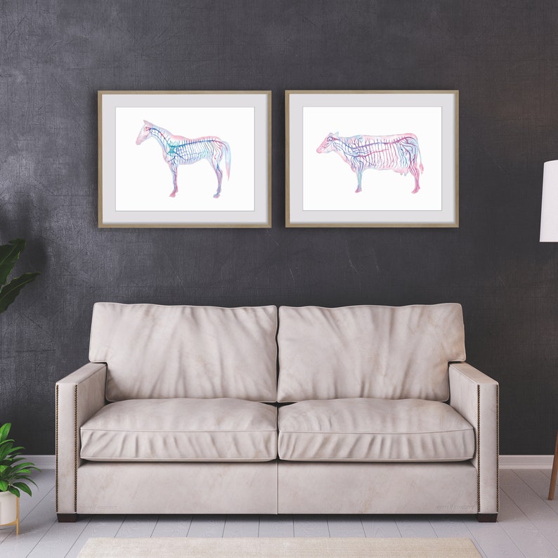 Cattle Nervous System Science Art Poster Veterinary Decor | Etsy