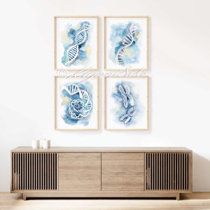 Set of 4 Genetics Posters, DNA, RNA, DNA Spiral, Chromosomes Science ...