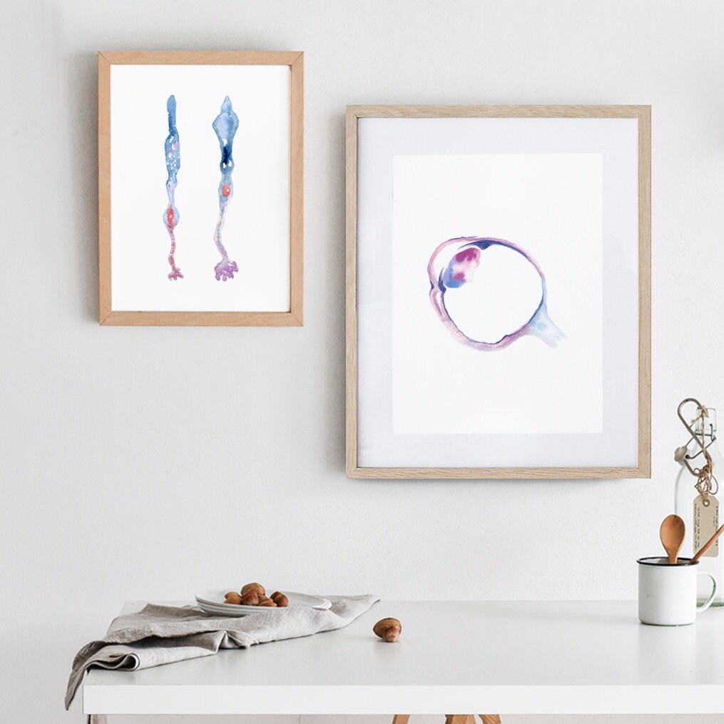 Eye Cross Section Poster Optometry Science Art Print - Etsy