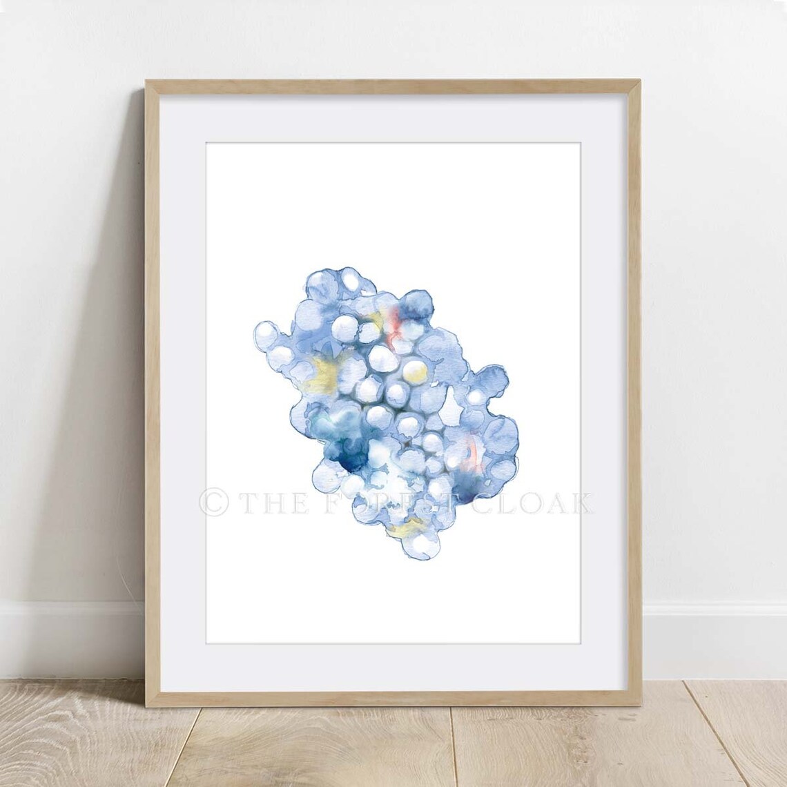 Protein Structure Surface No. 1, Molecular Biology, Biology Poster ...