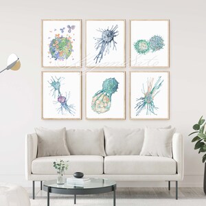 Immune Cells Gallery Art Poster Set of 6, Defensive Cells Art ...