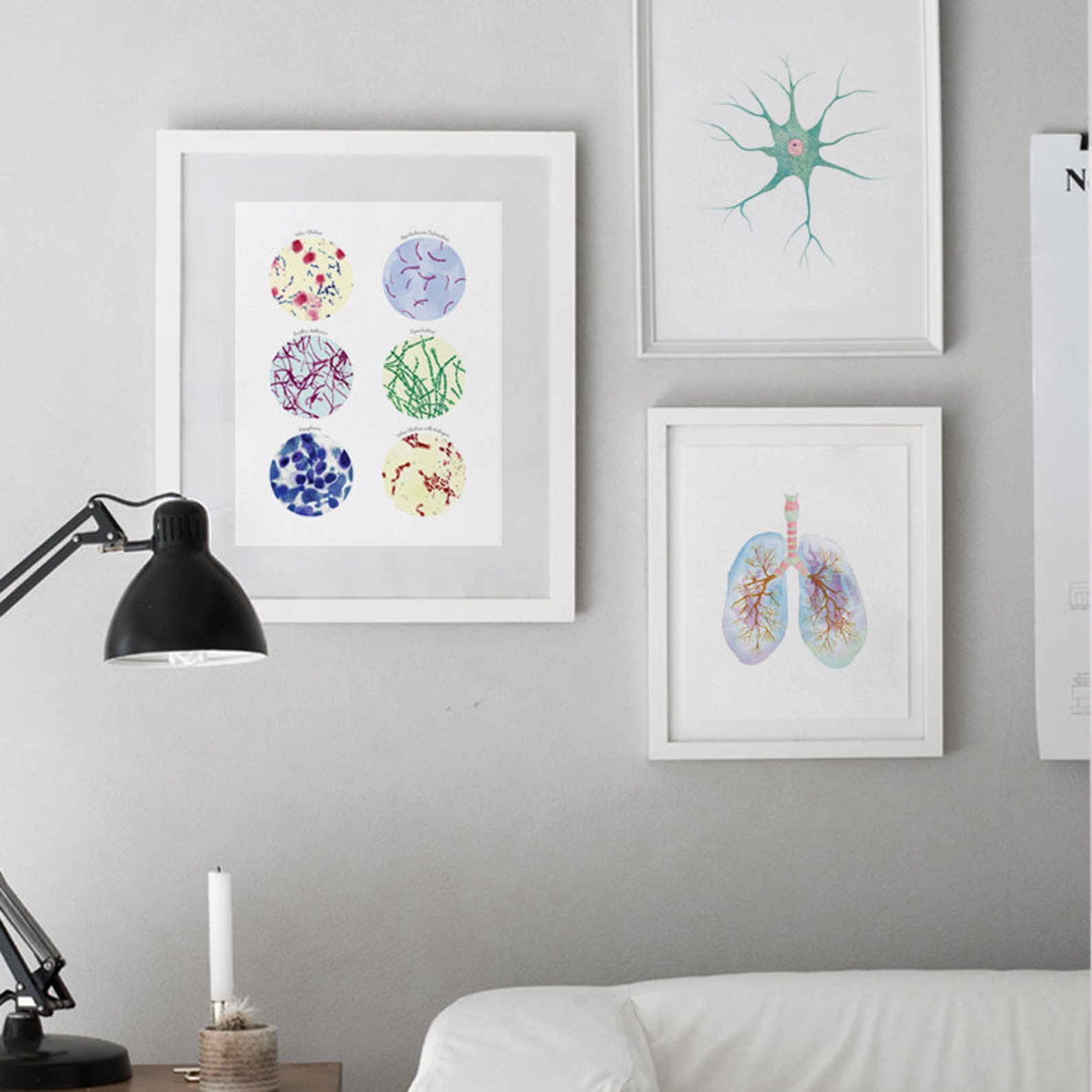 Bacteria Science Art Poster Science Print Wall Decor, Microbiology ...