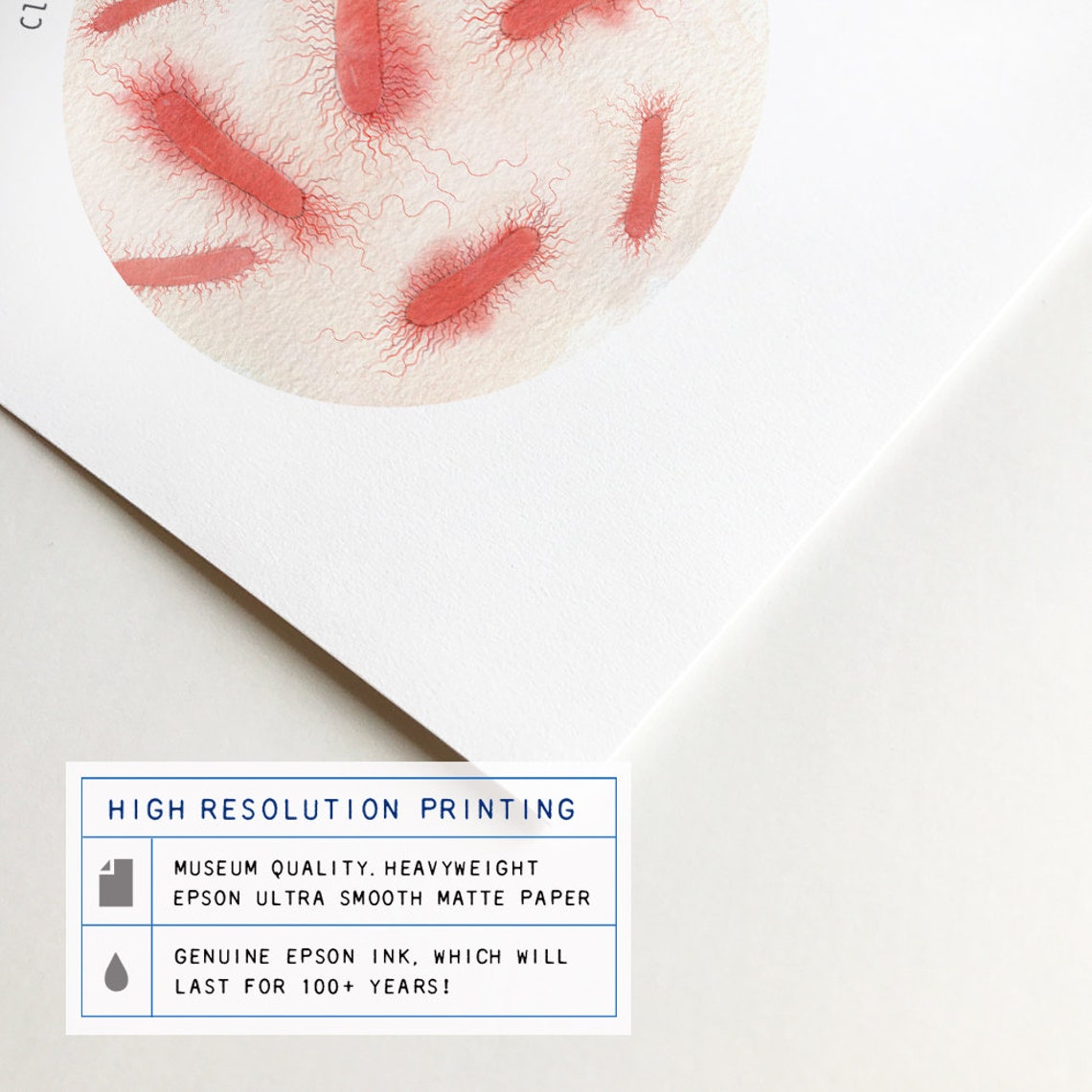 Clostridioides Difficile, Science Art Print, Bacteria Poster ...