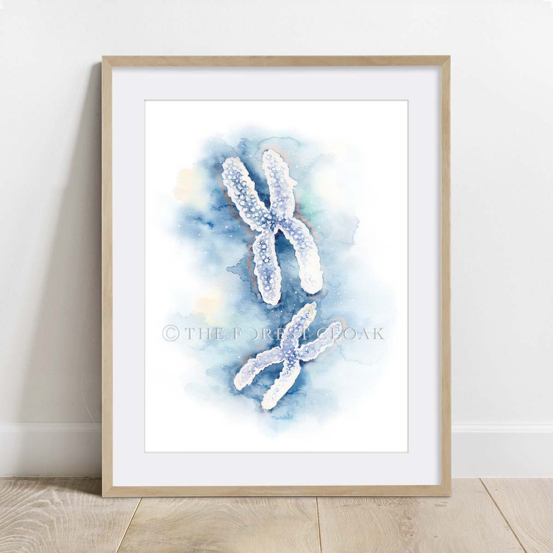Set of 4 Genetics Posters DNA RNA DNA Spiral Chromosomes - Etsy