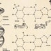 Medieval Style DNA With Chemical Structure Poster, Genetics Science Art ...