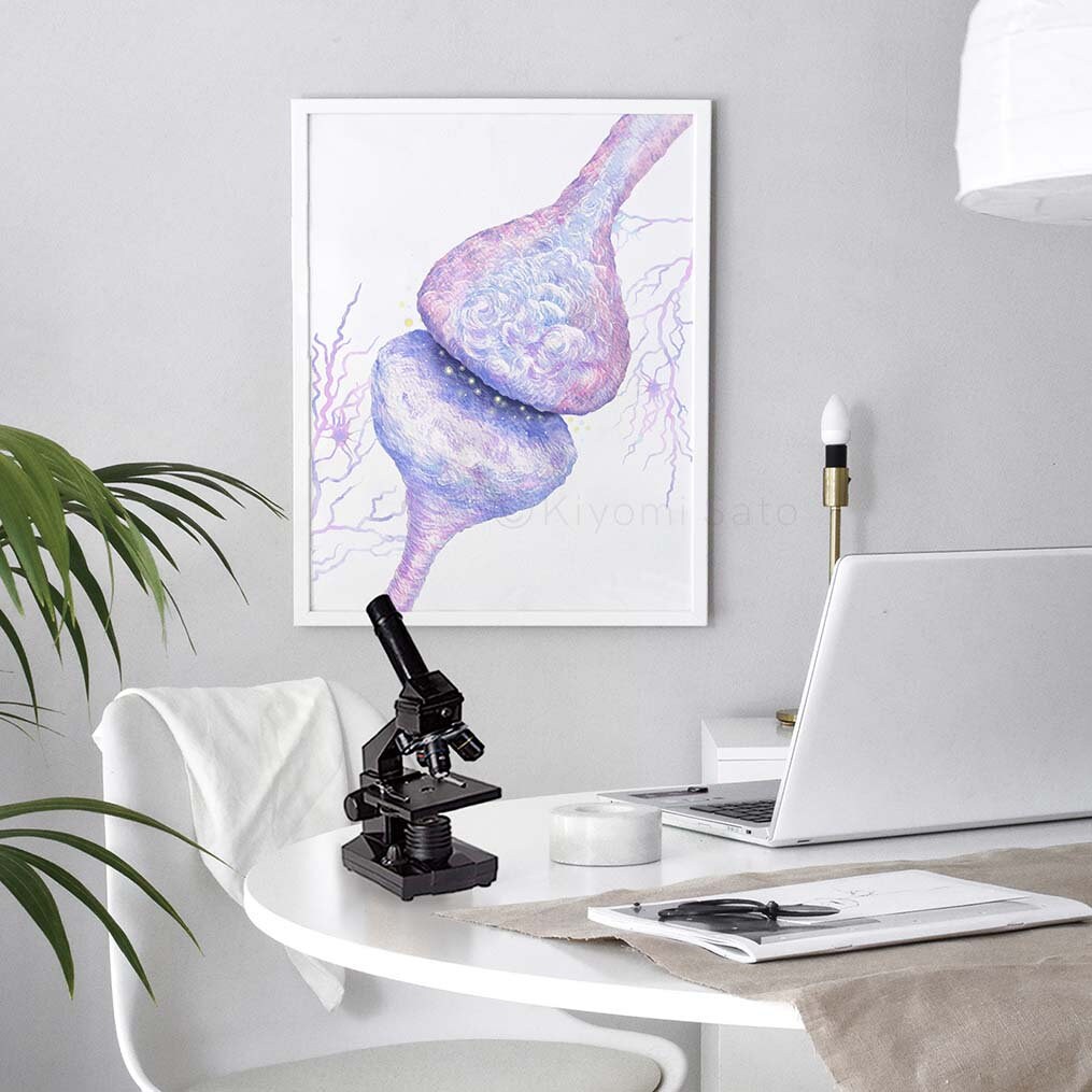 Synapse Science Art Print, Synaptic Cleft Biology Poster, Watercolor ...