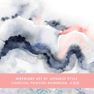 Healing Wounded Skin Histology Art Poster, Epidermis Histology ...