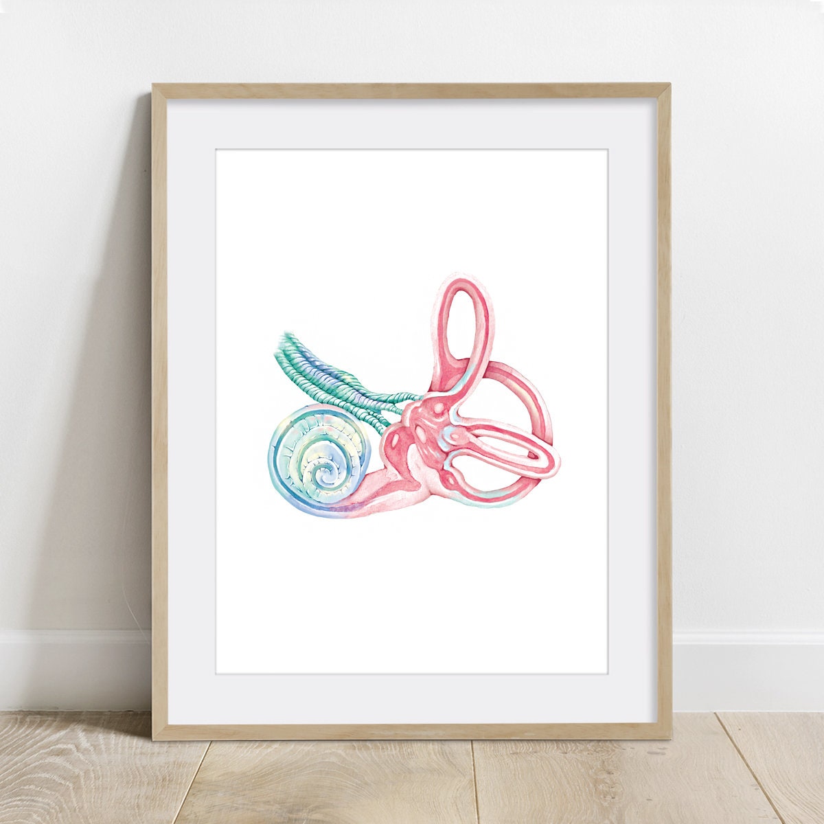 Ear Cochlea Science Art Inner Ear Print Biology Poster - Etsy