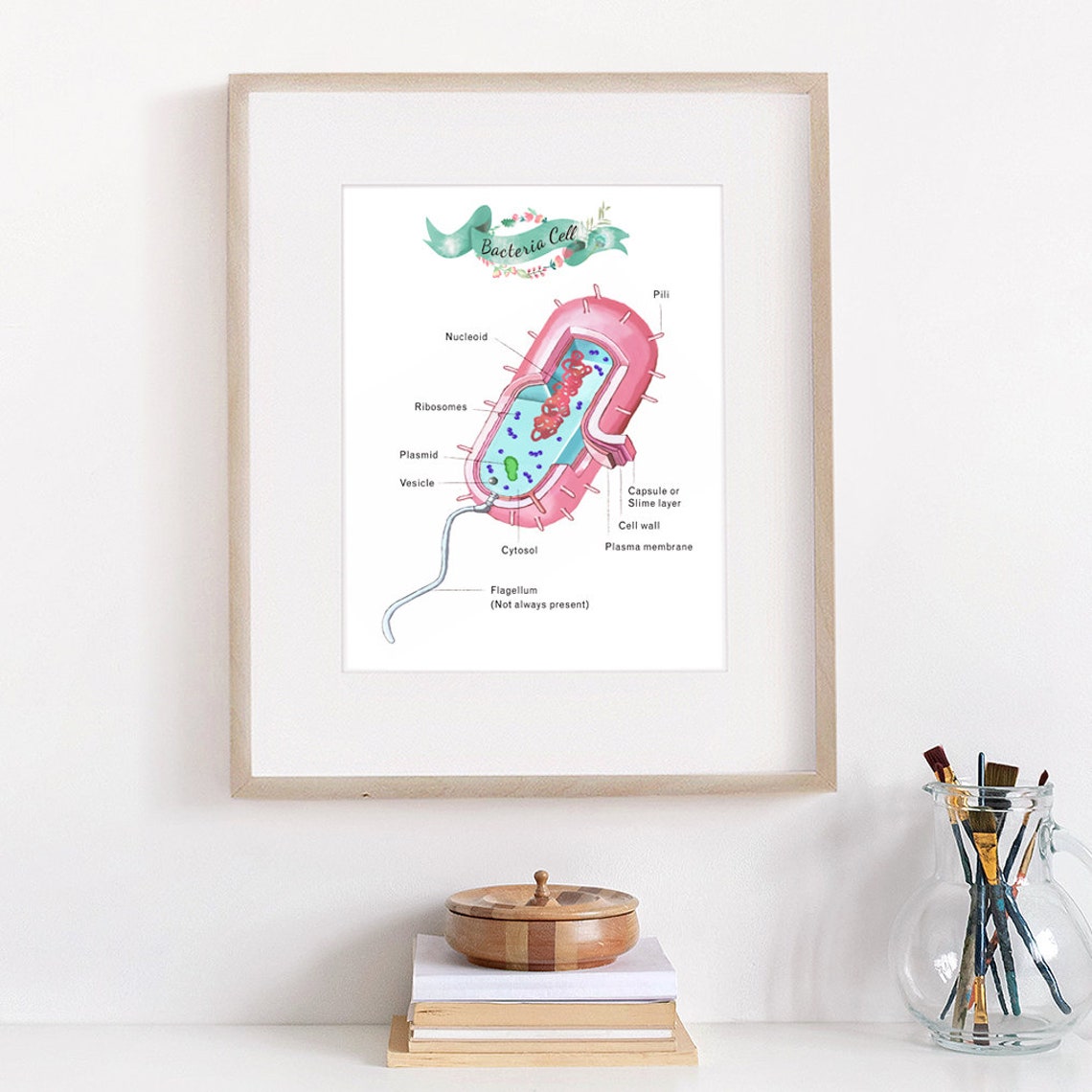 Bacteria Cell Cross Section Poster print wall decor 8 x 10 | Etsy