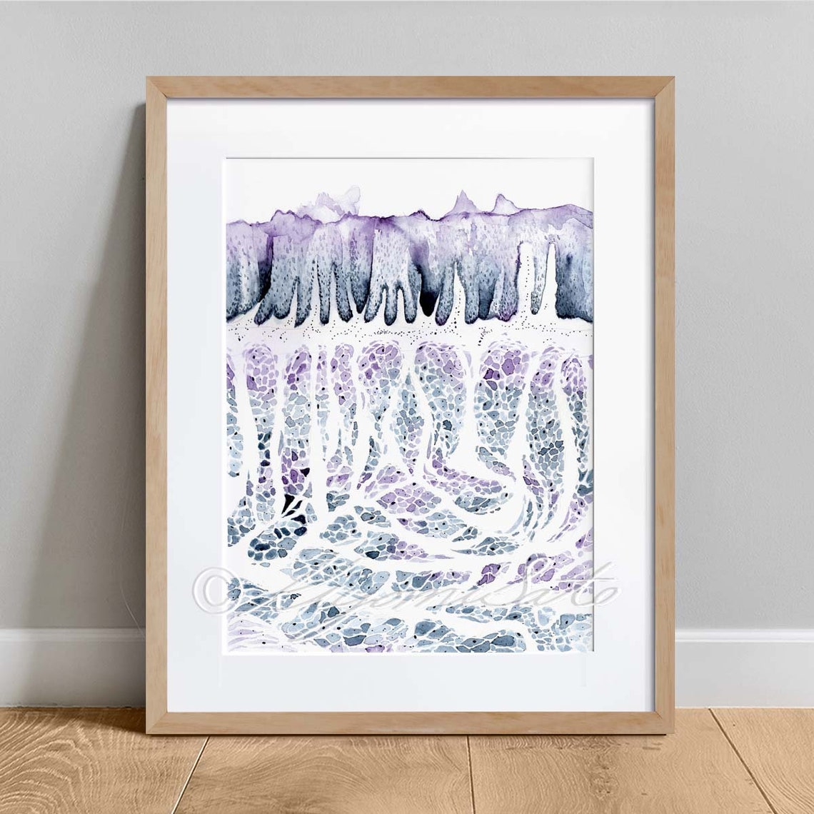 Dog Tongue Histology Art, Veterinary Histology Art, Canine Filiform ...
