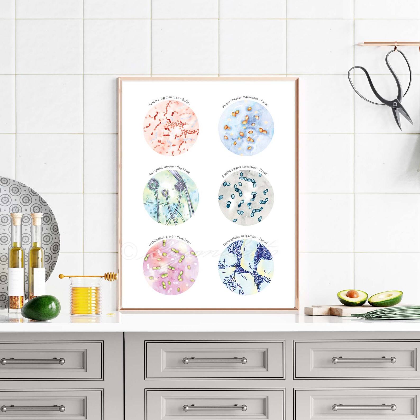 Food Microbiology Art for Kitchen 4 Poster Set, Microbe Science Art ...