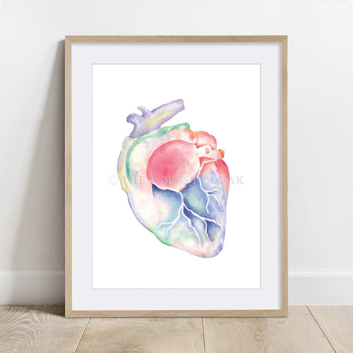 Feline Heart Anatomy Art Print Veterinary Decor Cat - Etsy