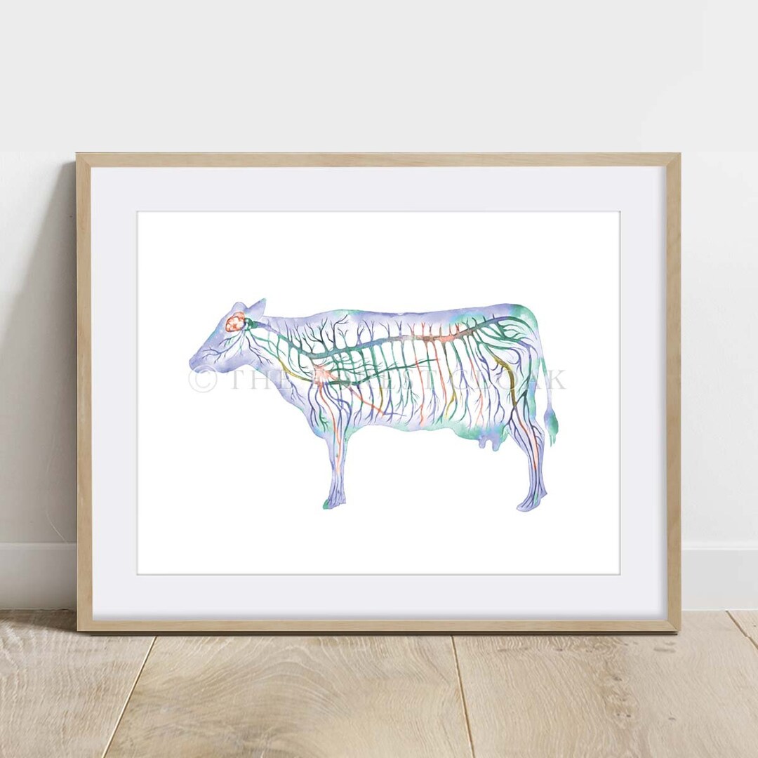Cattle Nervous System in Blue, Science Art Poster, Veterinary Decor ...