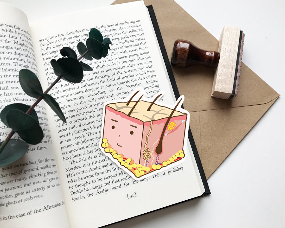 Skin Cell Vinyl Sticker Unique Science Decal Dermatology - Etsy