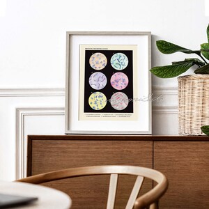 Brewing Microorganism Collection, Vintage Style Microbiology Poster ...