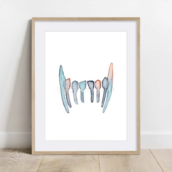 Canine Mandibular Tooth Art Poster Veterinary Dental Print | Etsy