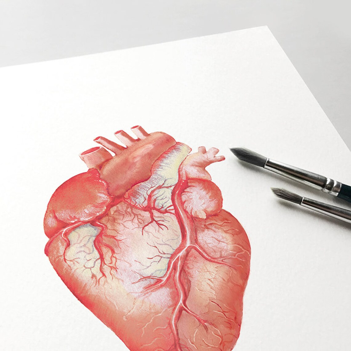 Human Anatomical Heart Poster, Science Art, Cardiovascular Print ...