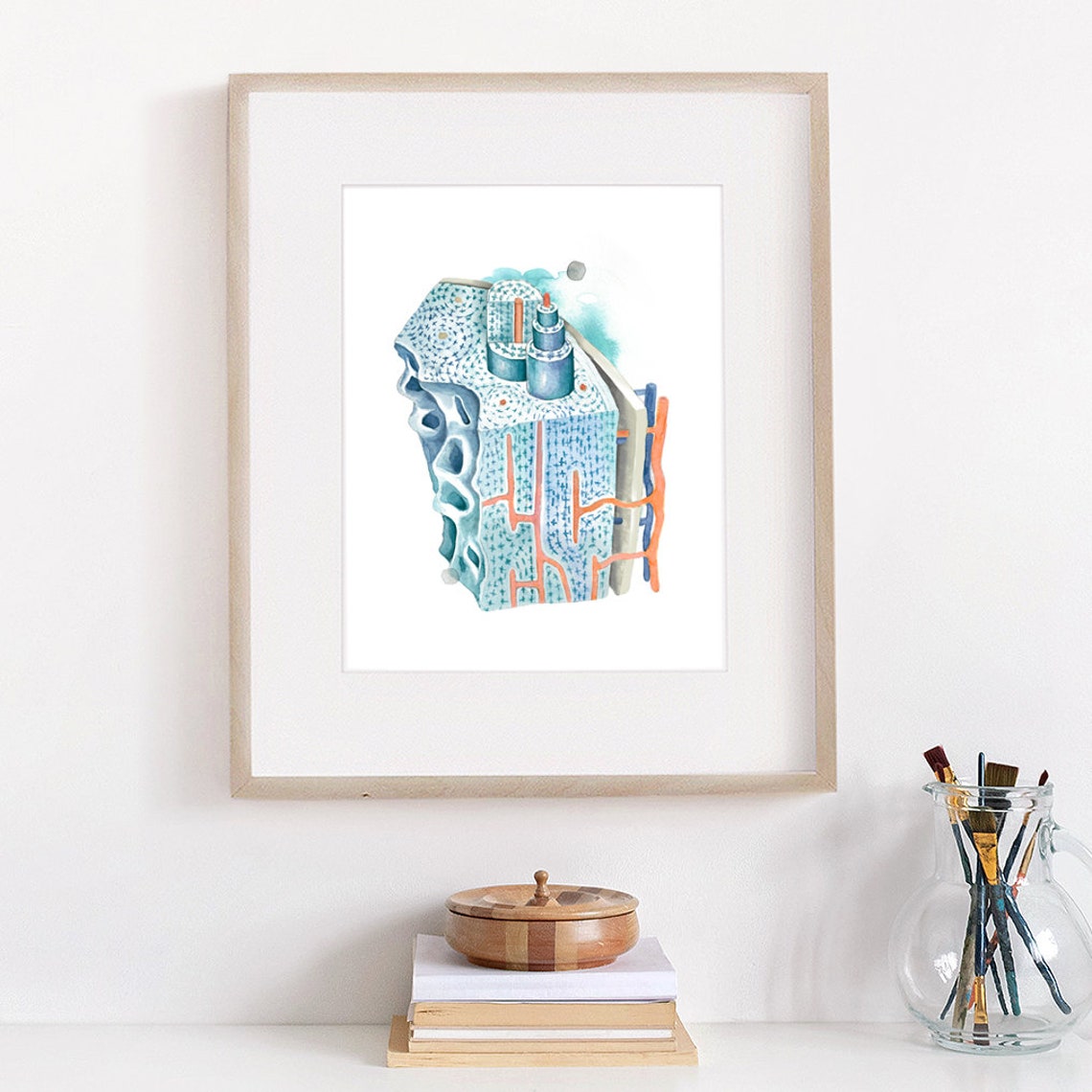 Haversian System Bone Structure Science Art Poster Biology - Etsy