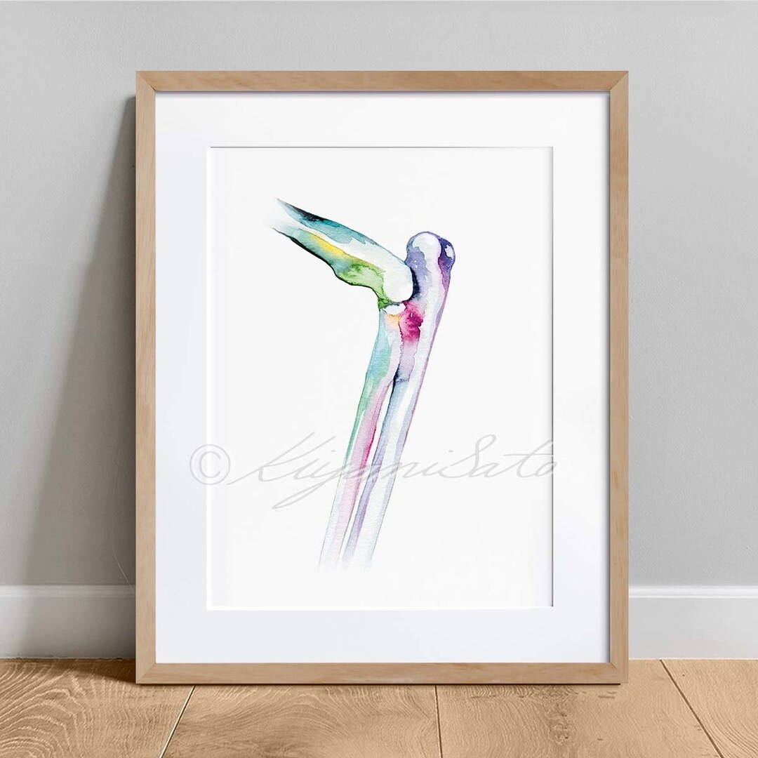 Cat Elbow Bone Art Print, Cat Skeletal System Art, Veterinary Decor ...