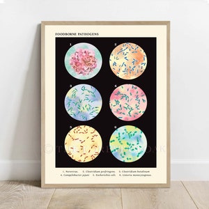 Foodborne Pathogens Collection Poster, Vintage Style Science Art ...