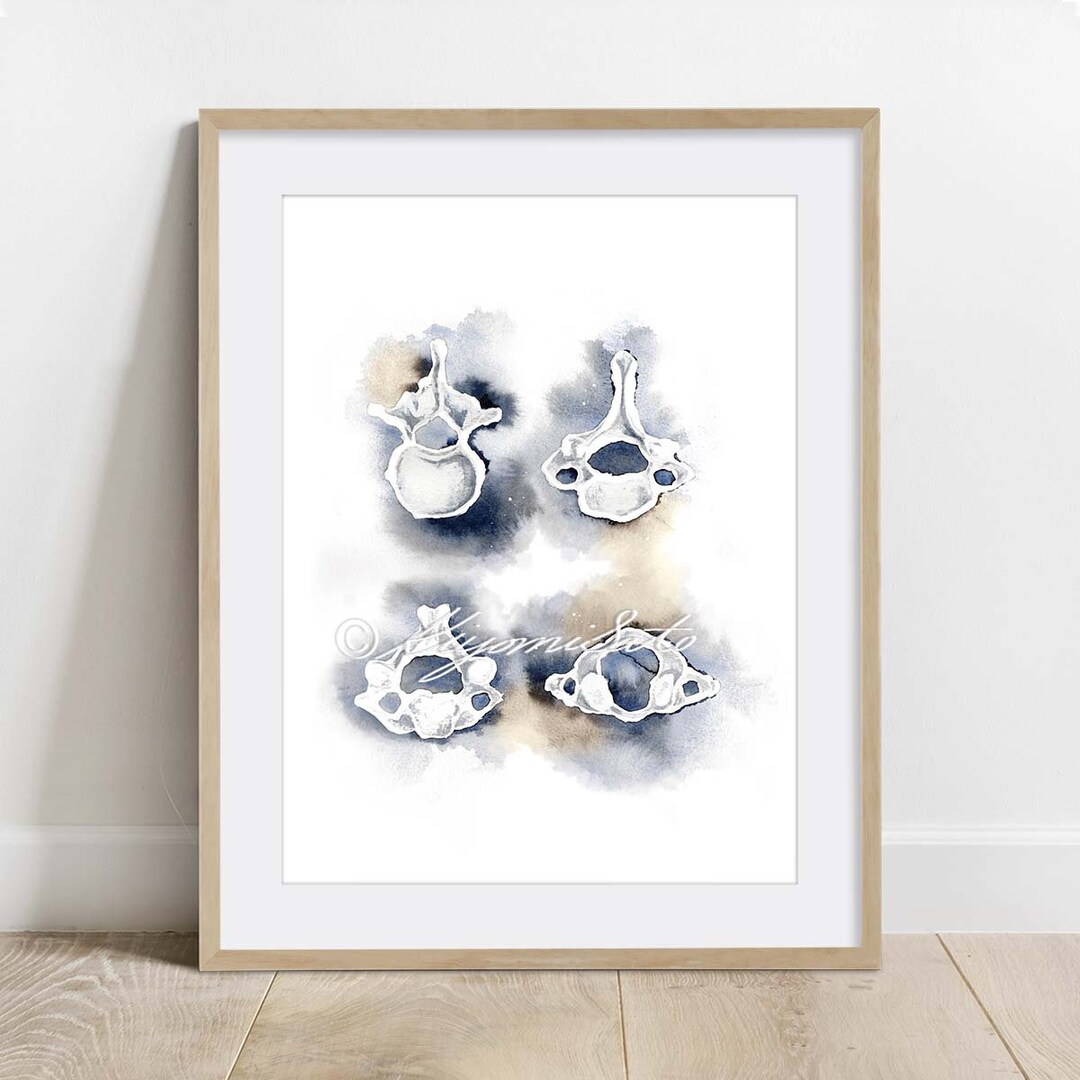Vertebrae Collection Art, Orthopedics Art, Science Art Poster, Vertebra ...