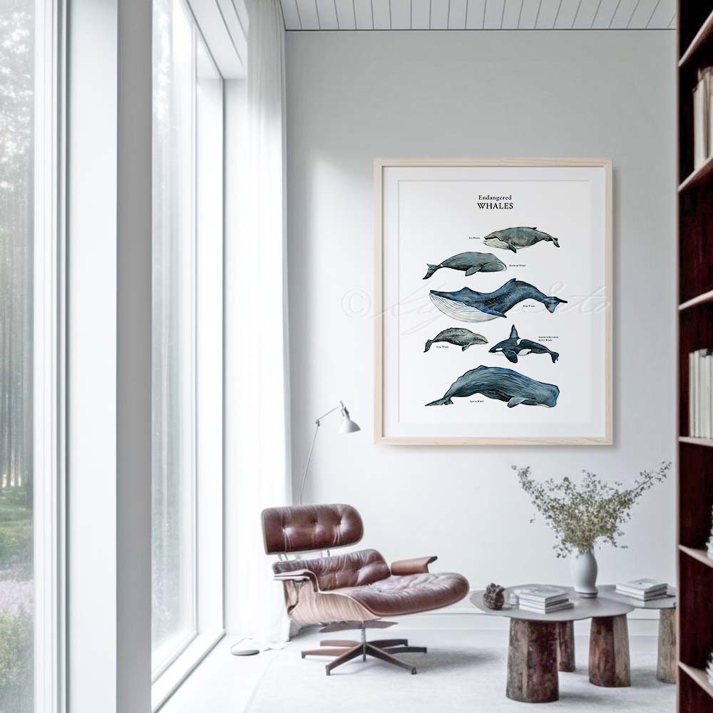 Whale Poster, Endangered Whale Watercolor Painting, Whale Print, Marine ...