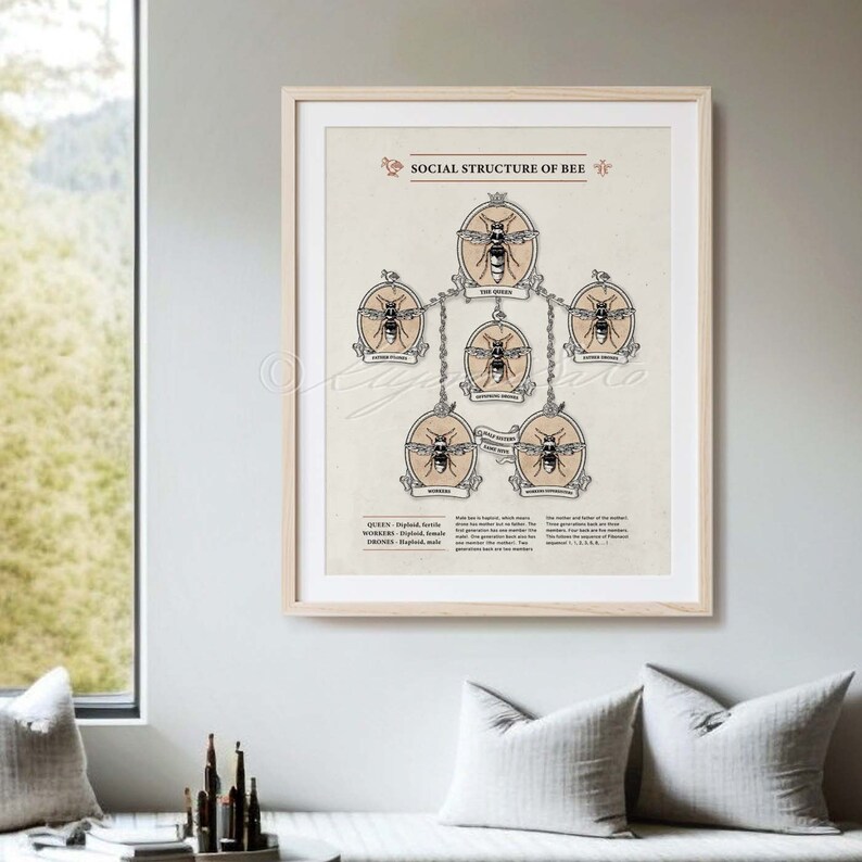 Social Structure of Bee, Melittology Art Poster, Bee Family Chart Print ...
