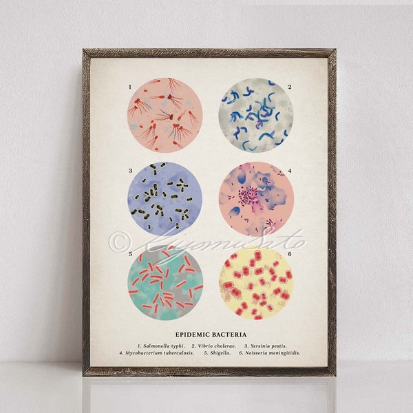 Microbiology Poster - Etsy