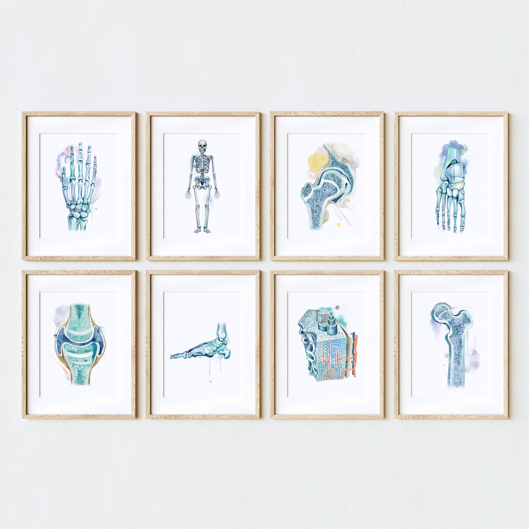 Bone Collection Art 8 Prints Set, Science Art, Anatomy Art Bundle ...