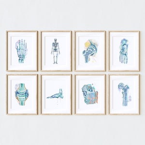 Bone Collection Art 8 Prints Set, Science Art, Anatomy Art Bundle ...