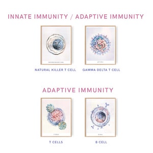 Immune System 12 Posters Set, Immunology Innate Immunity Adaptive ...