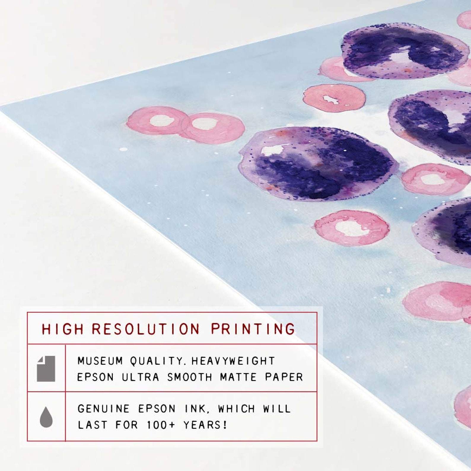 Basophil Blood Cells Biology Poster Science Art Print | Etsy