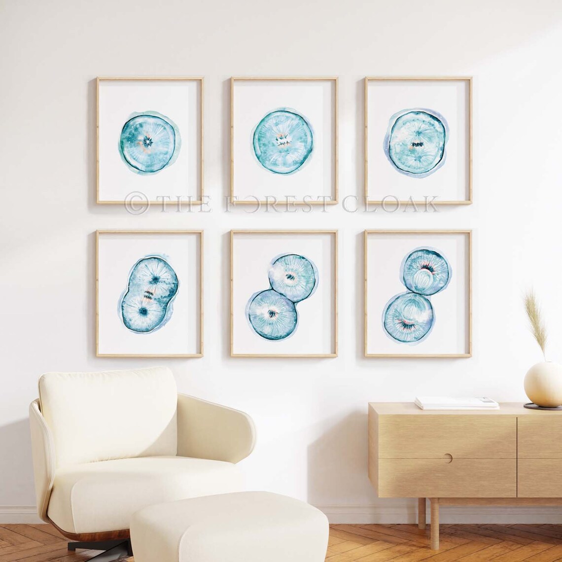 Mitosis 6 Print Set Biology Art Poster Science Art Gift | Etsy