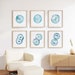 Mitosis 6 Print Set Biology Art Poster Science Art Gift - Etsy