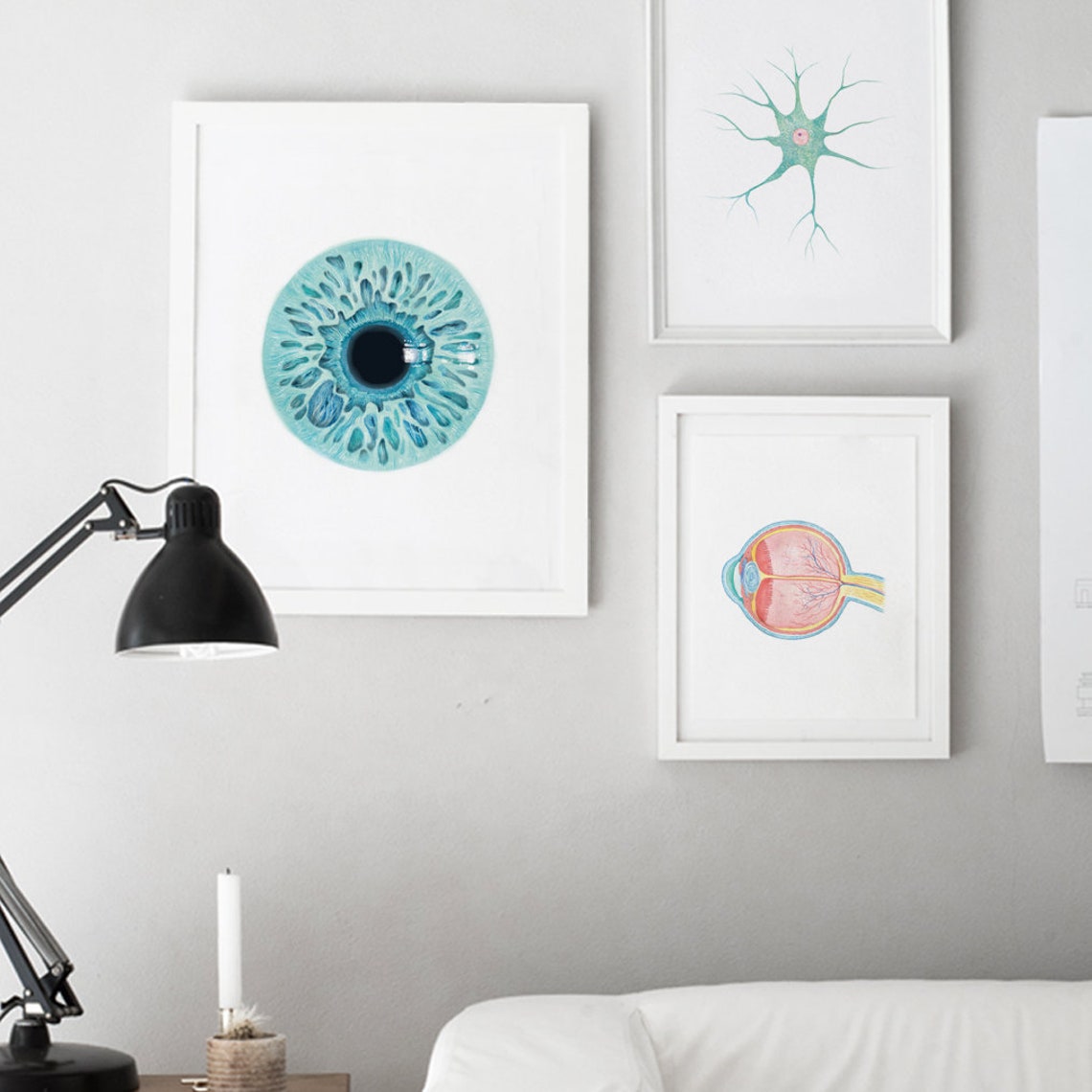 Iris Art, Eye Biology Poster, Science Art Print, Ophthalmology Art ...