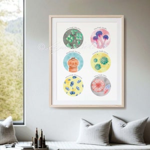 Six Types of Microorganisms Examples, Molecular Biology, Microbiology ...