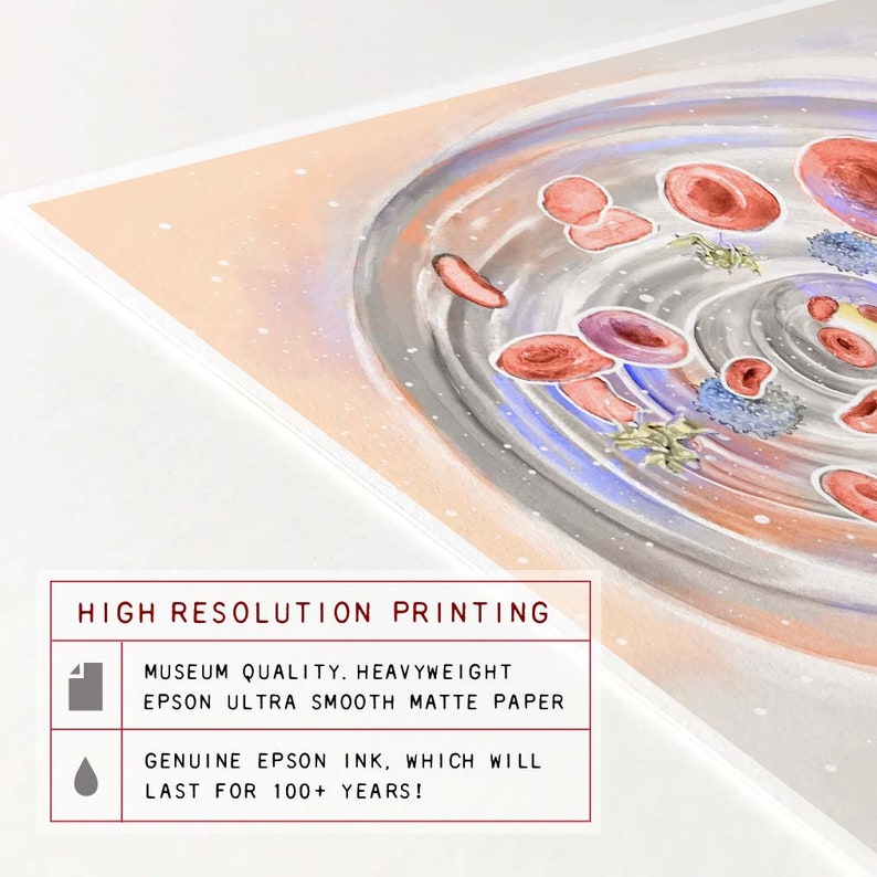 The Journey of Blood Cell Science Art Print Biology Wall - Etsy