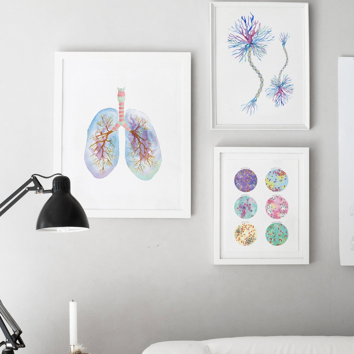 Human Lung Watercolor Painting Poster Science Art Biology | Etsy