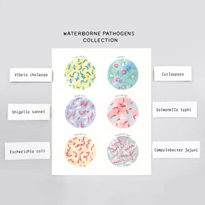 Waterborne Pathogens Collection, Science Art Poster, Microbiology Wall ...