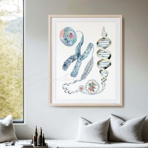 Cell to DNA Art Print, Chromosomes Art Poster, DNA, Genetics Art Decor ...