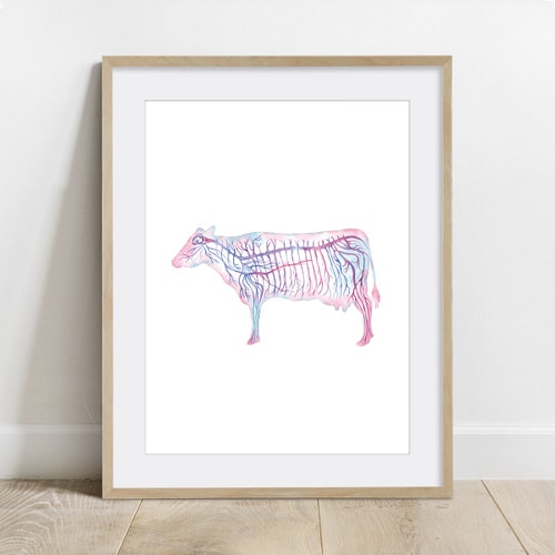 Cattle Nervous System Science Art Poster Veterinary Decor - Etsy