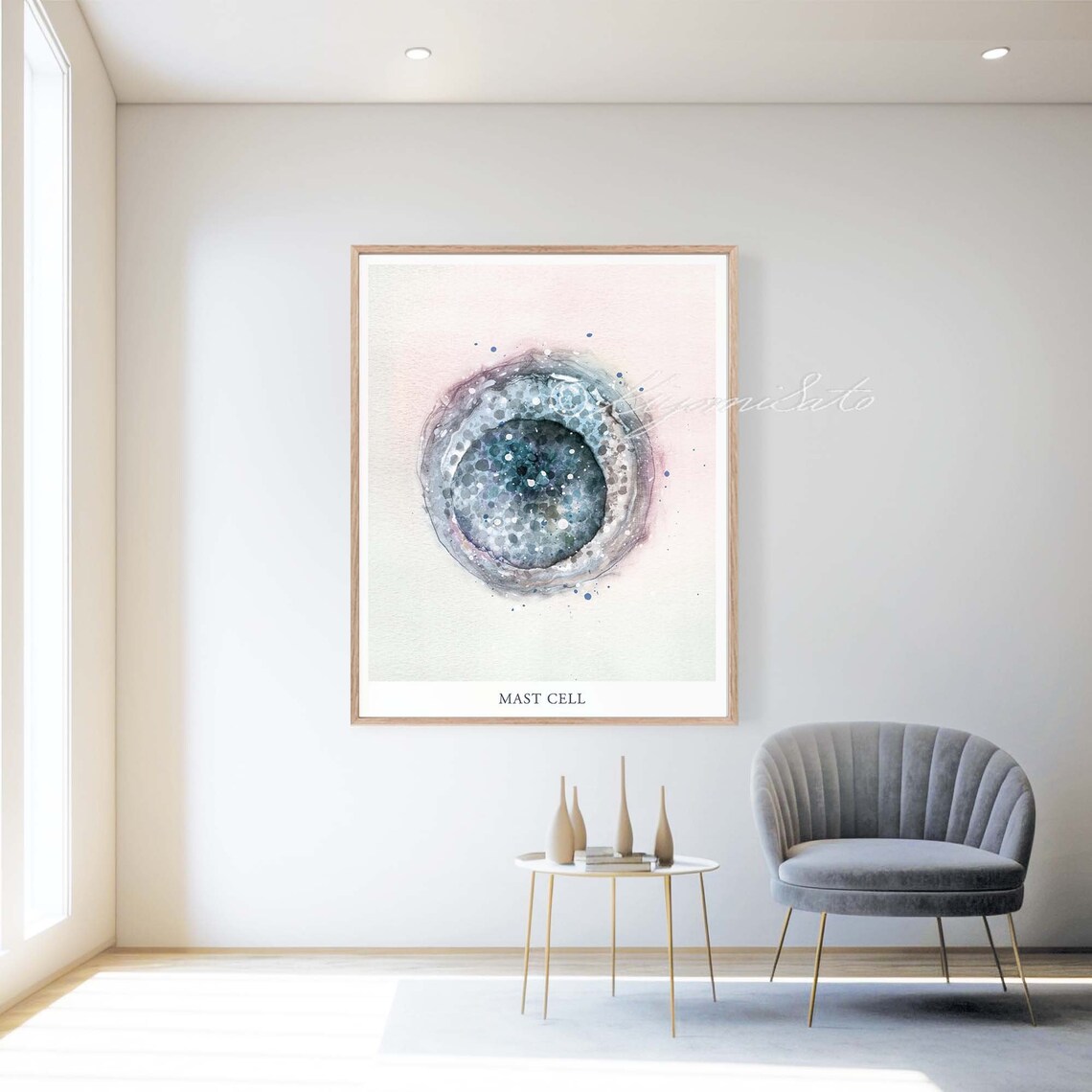 Mast Cell Innate Immunity Art Print White Blood Cell Cytology ...