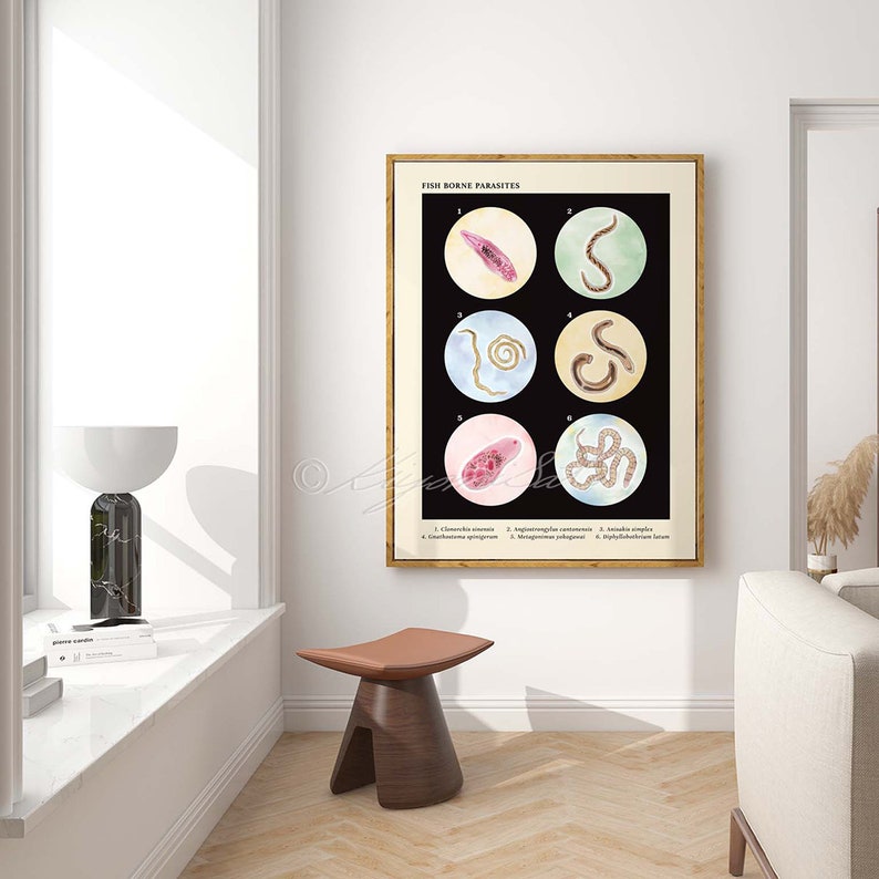 Fish Borne Parasites Collection Vintage Style Parasitology Art Poster ...