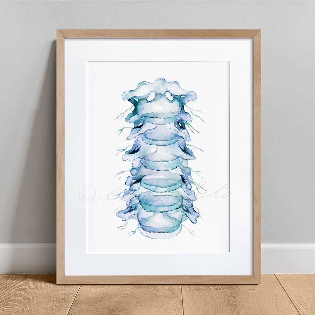 Cervical Vertebrae Abstract Art Print, Orthopedics Decor, Poster ...