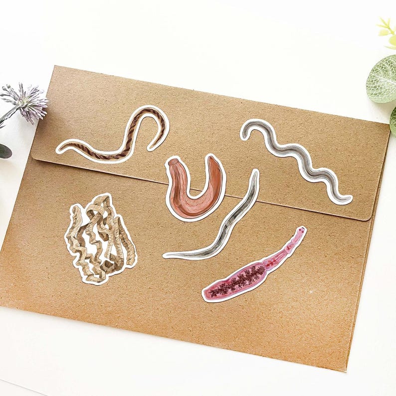 Parasite Sticker, Parasitology Sticker, Microbiology Stationery ...