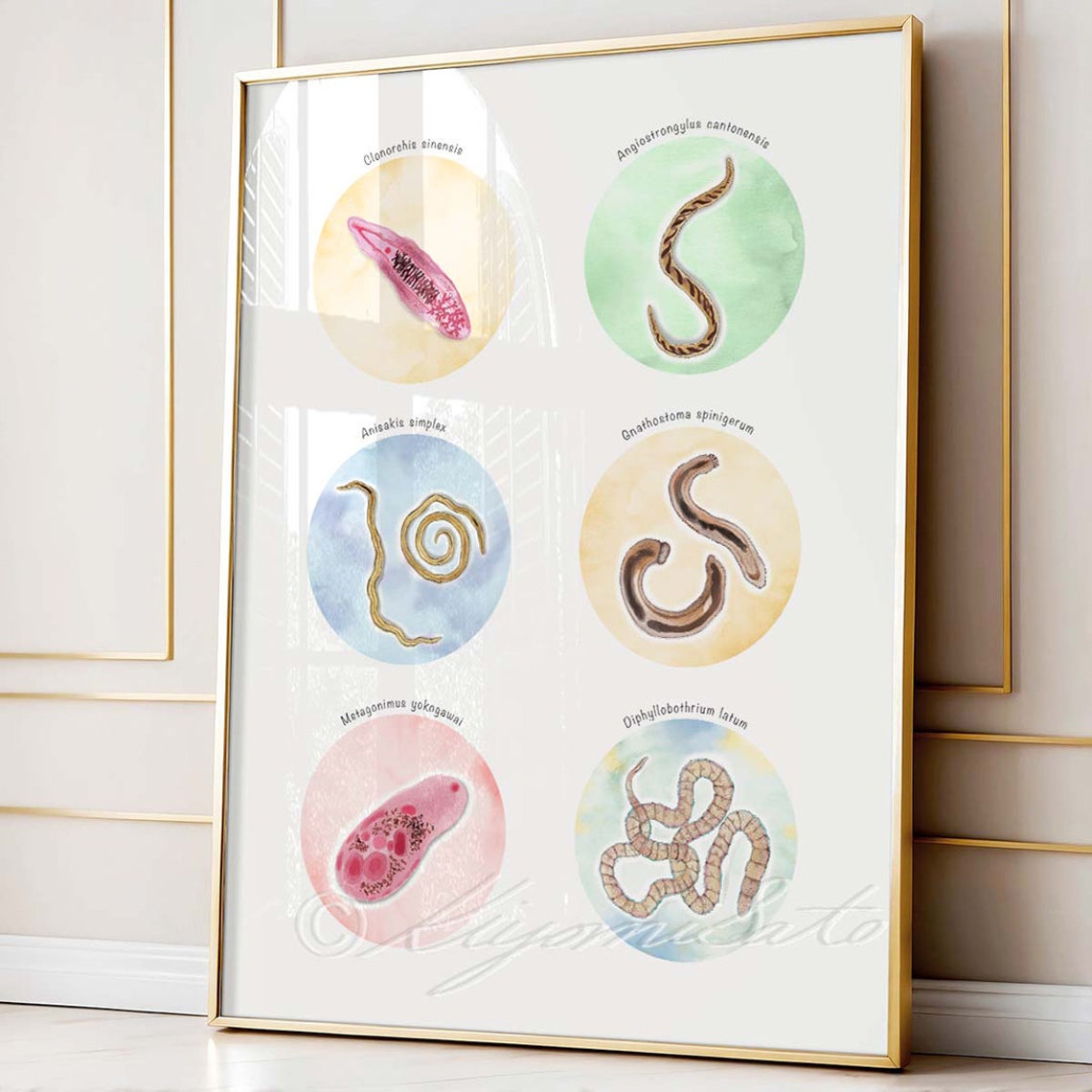 Fish Borne Parasites Collection, Parasite Science Art Print ...